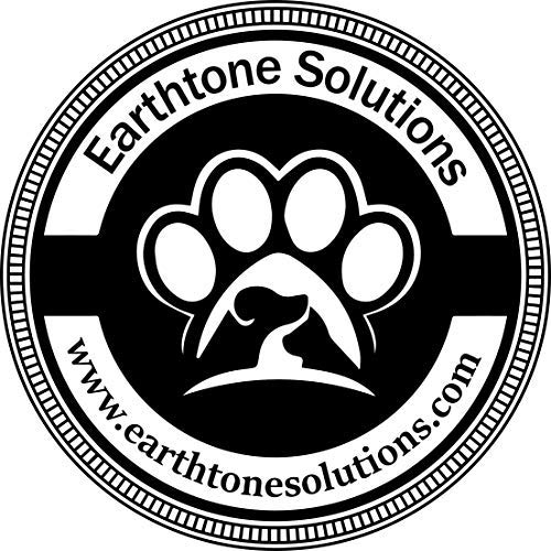 Earthtone Solutions Cat Cave Bed, Unique Green Handmade Felted Wool, Large Covered and Cozy, Also Perfect for Kittens, Original Cat Caves, (Emerald Haven)