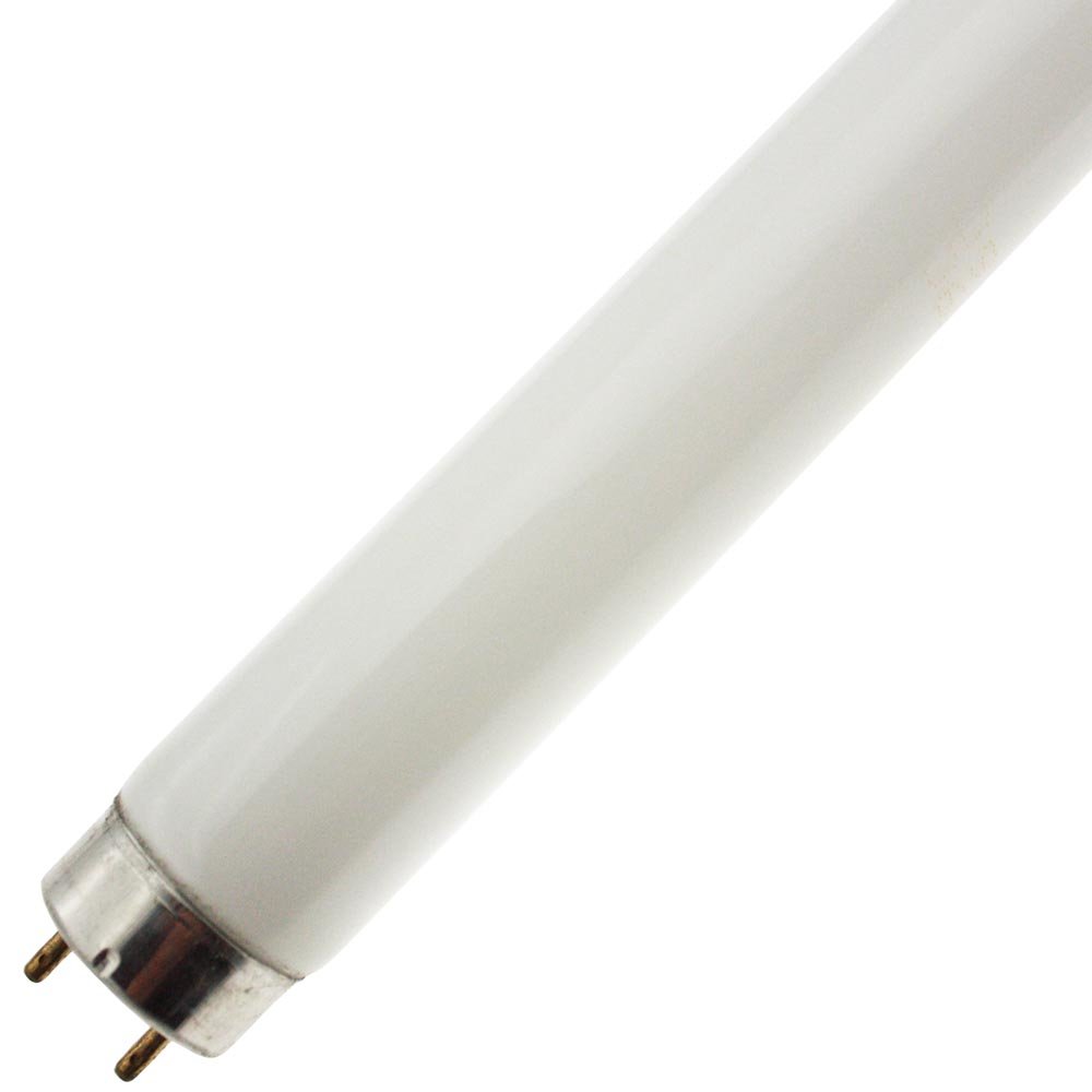 F14T8/CW Light Bulb, 14 Watts, G13 Base