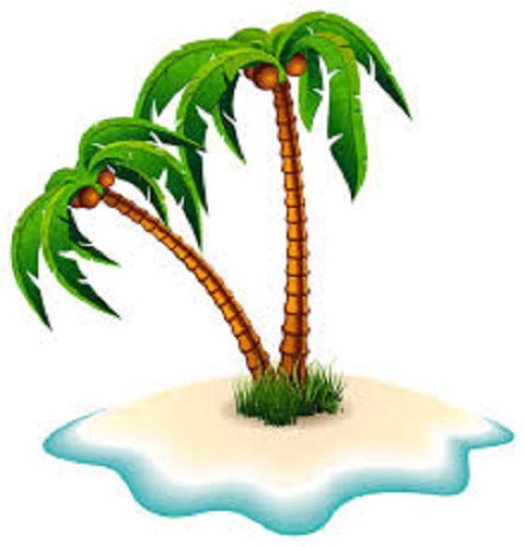 without brand Set of 48 Envelope Seals Labels Cute Palm Tree Beach 1.2" Round