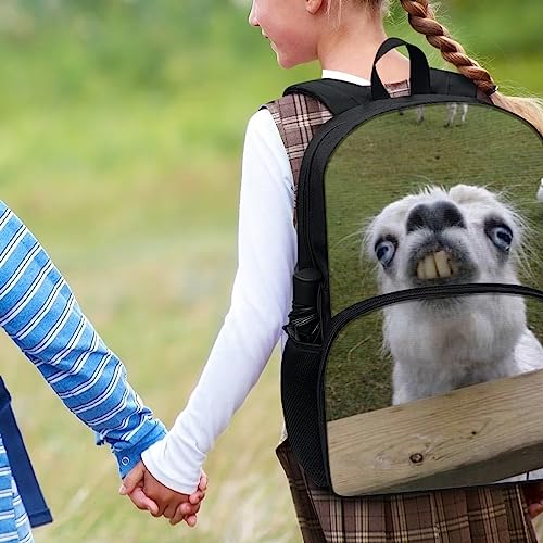 AmzPrint 17 Inch Funny Llama Backpack For Elementary Middle School Alpaca Backpack For Kids Child Back To School As Gift