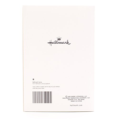 Hallmark Coworker Greeting Card (Thank You For Everything) - 499RZB1008, 5 inches wide and 7.2 inches long
