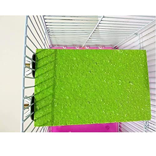 Litewoo Bird Perch Grinding Stand for Bird Parrot Budgie Parakeet Cockatiel Conure Lovebird Finch(5.1" x 3.5")