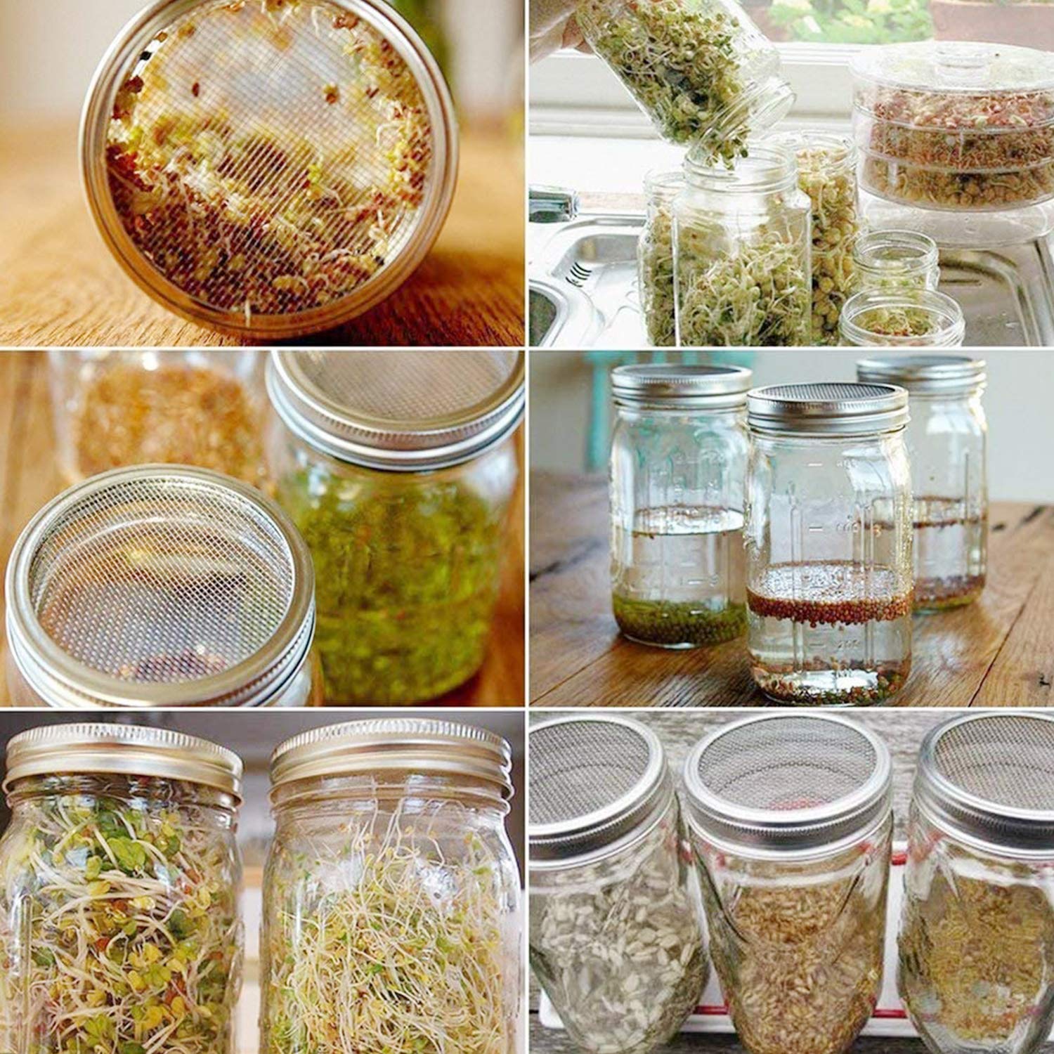 304 Stainless Steel Sprouting Lids for Wide Mouth Mason Jars and Making Organic Sprout Seeds 6 Pcs