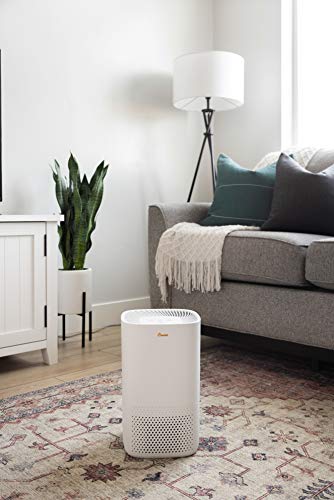 Crane Air Purifier with True HEPA Filter, Germicidal UV Light, 250 Sq Feet Coverage, Timer Function, Sleep Mode, Washable Particle Filter, EE-5067