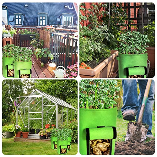 Qaxlry Potato Growing Bags, 2 Pack 10 Gallon Double Thickened Felt Potato Grow Containers with Handles & Access Flap for Potatoes, Tomato, Carrot, Onion, Vegetables, Fruits, Plants