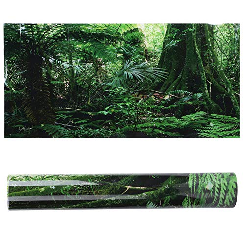 SH-RuiDu Aquarium Background, Durable PVC Reptile Box Rainforest Background Poster Fish Tank Wall Picture Painting Decoration Self Adhesive Sticker for Fish Tank Reptile Box Decorations