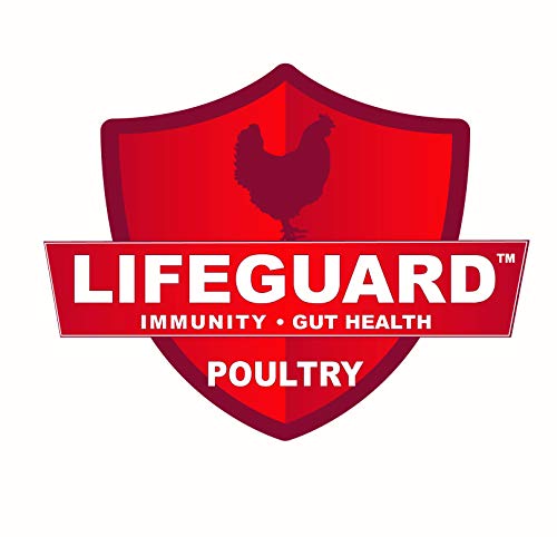 Kalmbach Feeds 20% Organic Chick and Meatbird Starter Grower Pellet