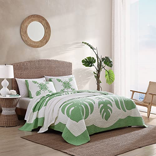 Tommy Bahama - Standard Sham, Cotton Bedding with Envelope Closure, Breathable Home Decor (Molokai Green, 21x27)