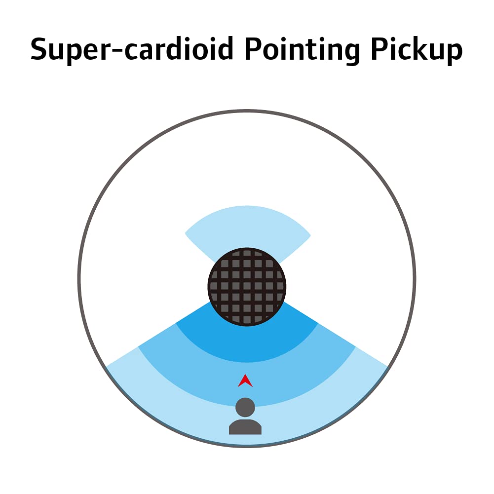 CAROL GS-67 Dynamic Vocal Microphone Supercardioid Handheld Mic, with Shock Absorber Effect for Presentation and Home Entertainment, Recording, Live Performance w/ 14.8ft XLR to 1/4"(6.35mm) Cable