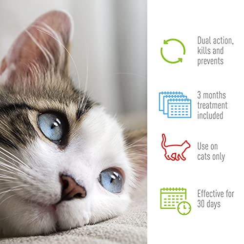 Adams Plus Flea & Tick Spot On for Cats Over 2.5 lbs but Under 5 Pounds 3 Month Supply