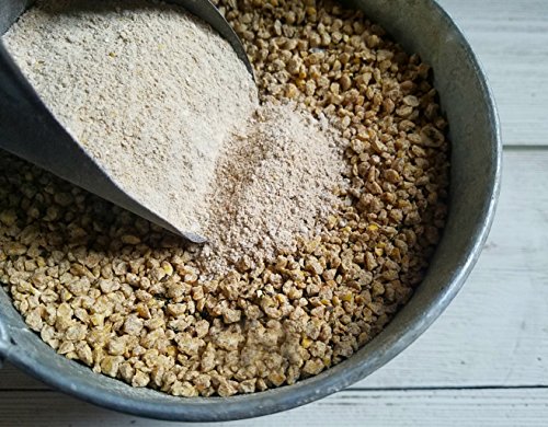 Fresh Eggs Daily Brewer's Yeast with Garlic Powder and Niacin for Ducks Feed Supplement Vitamins for Backyard Chickens 1LB