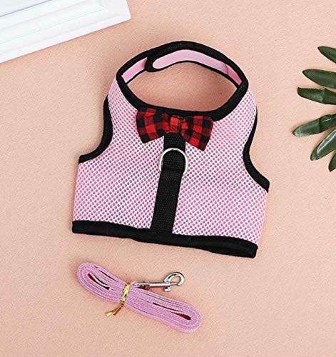 sonicbee Multipurpose Rabbits Hamster Vest Harness with Leash Bunny Mesh Chest Strap Harnesses Ferret Guinea Pig Small Animals Pet Accessories (L, Blue)