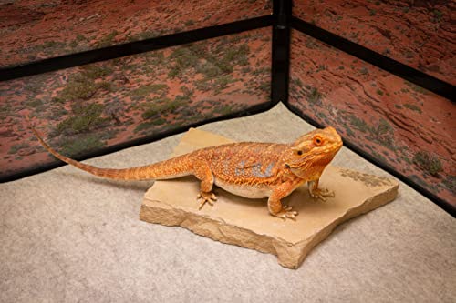 Carolina Custom Cages Natural Habitat Rocks, Painted Desert (one Large Size)