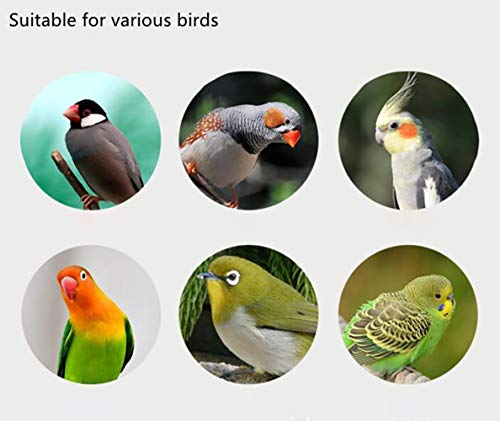 ZYYRT Bird Breeding Box Parakeet Nest Box Budgie Cage Wood House for Parrot, Lovebirds, Parrotlets Mating Box(7.8βx4.8βx4.8β)