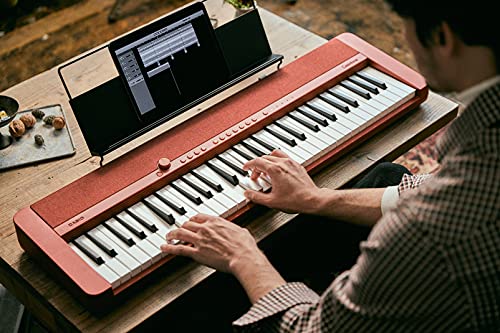 Casio Casiotone CT-S1 61-Key Portable Digital Keyboard - Red Bundle with Adjustable Stand, Bench, Headphones, Sustain Pedal, Instructional Book, Instructional DVD, and Austin Bazaar Polishing Cloth