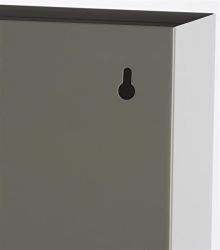 Displays2go Office File Folder Wall Rack, 11 Tiered Pockets, Medical Chart Folders (Gray Powder Coated Steel)