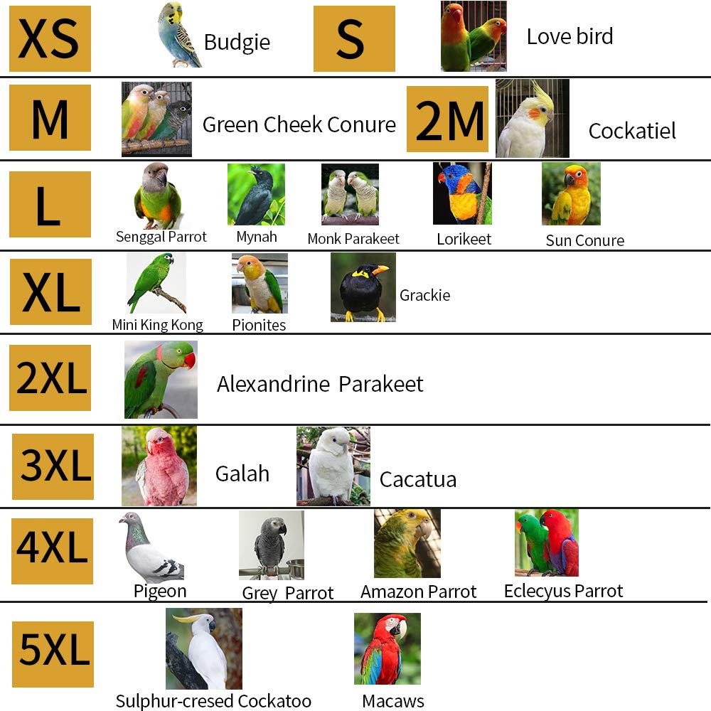 Adjustable Parrot Cone Collar, Safe and Practical Cotton Collar to Prevent Bites and Licking Wounds, to Help heal (4XL)