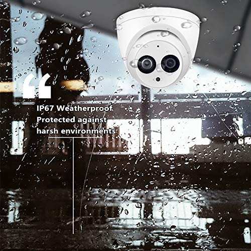 PANOEAGLE 6MP HD POE IP Camera, All-Metal Eyeball Dome Camera with Built-in MIC, 165ft Smart IR Night Vision, WDR ,DNR, IP67