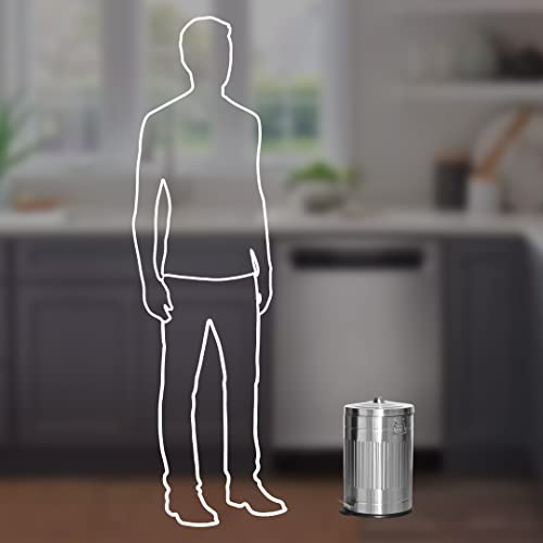 AWENN - Kitchen Garbage Trash Can with Lid and Pedal - Touchless Round Shape Waste Bin - Galvanized Iron Dustbin for Kitchen, Bathroom, Office and Outdoors (3.2 Gallon β 12 Liters)