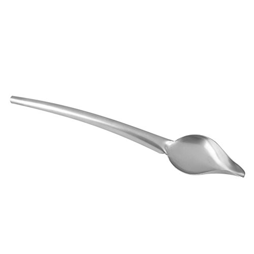 Fdit Wilton Drizzling Spoon, Stainless Steel Saucier Drizzle Spoon with Tapered Spout Precision Drawing for Decorating Plate (L)