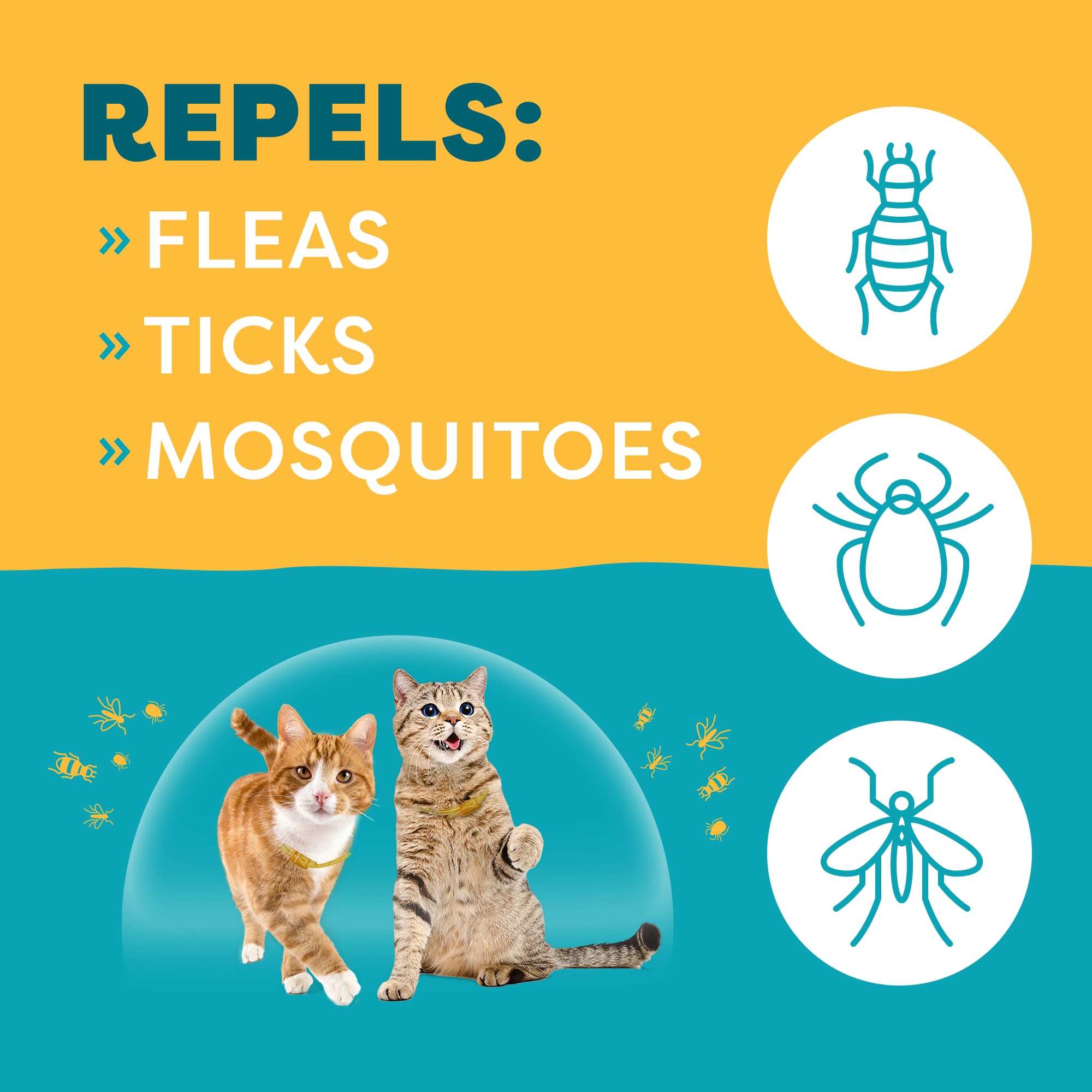 Only Natural Pet EasyDefense Flea & Tick Cat Collar - Feline Flea Collars Flea and Tick Control - Pet Flea Care That Protects up to 4 Months - for Cats (2 Pack)