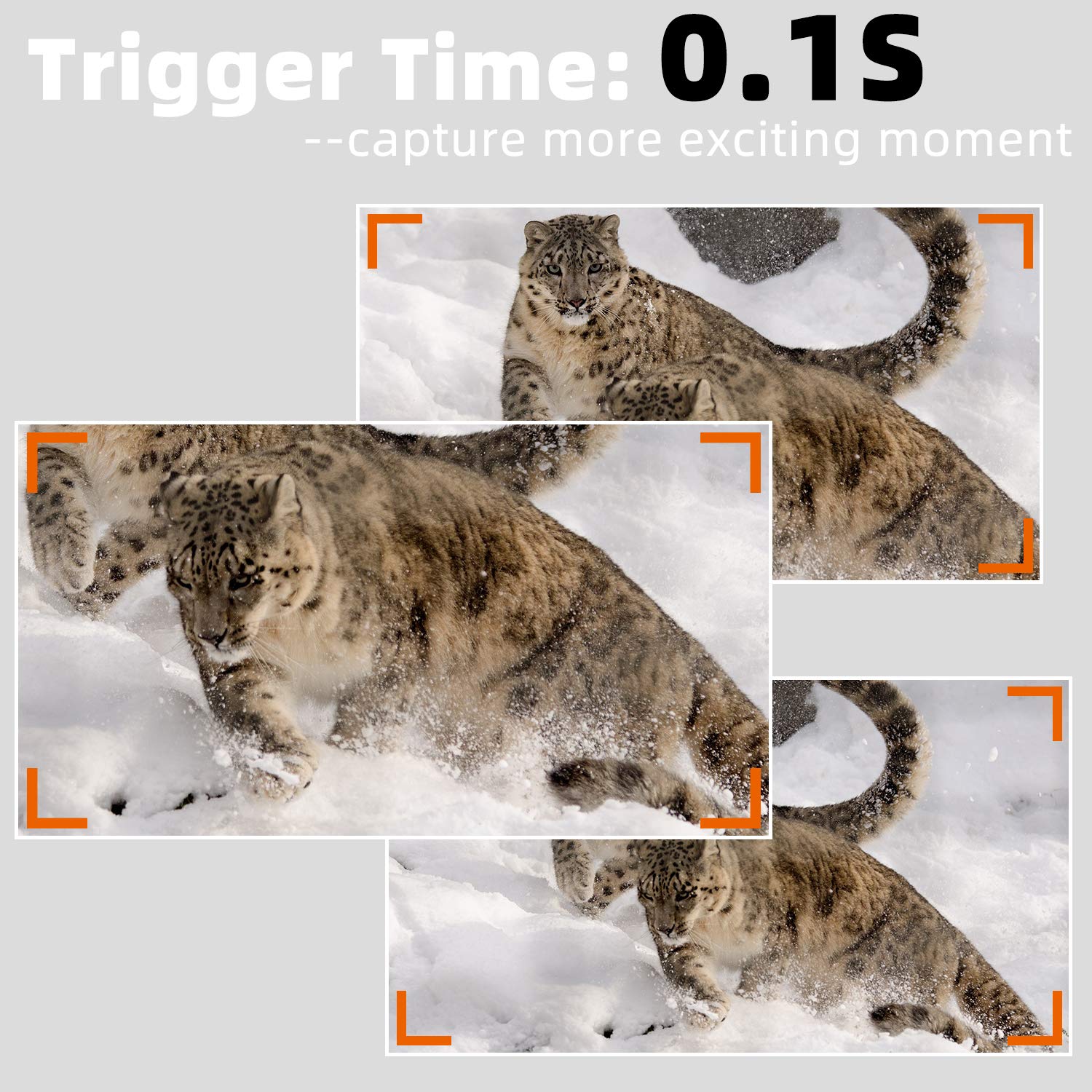5-Pack Game & Trail Camera 32MP 1296P with 100ft Night Vision No Glow 0.1S Trigger Time Motion Activated IP66 Waterproof for Outdoor Wildlife Hunting & Home Security Surveillance