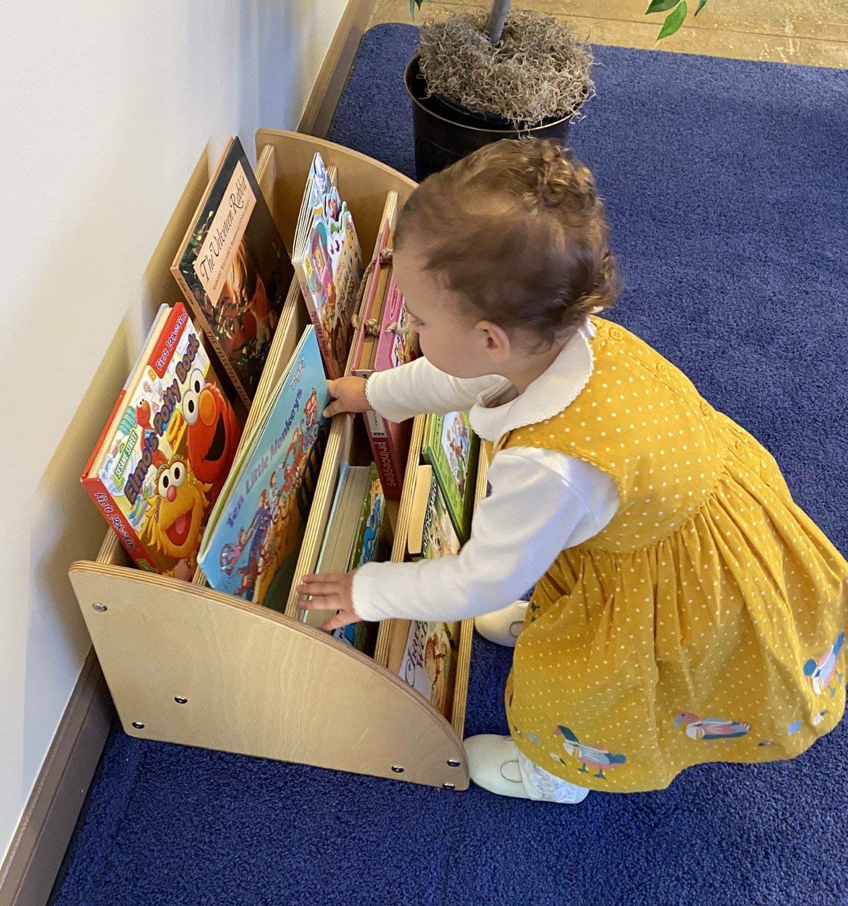 Kids’ Station Toddler Book Display