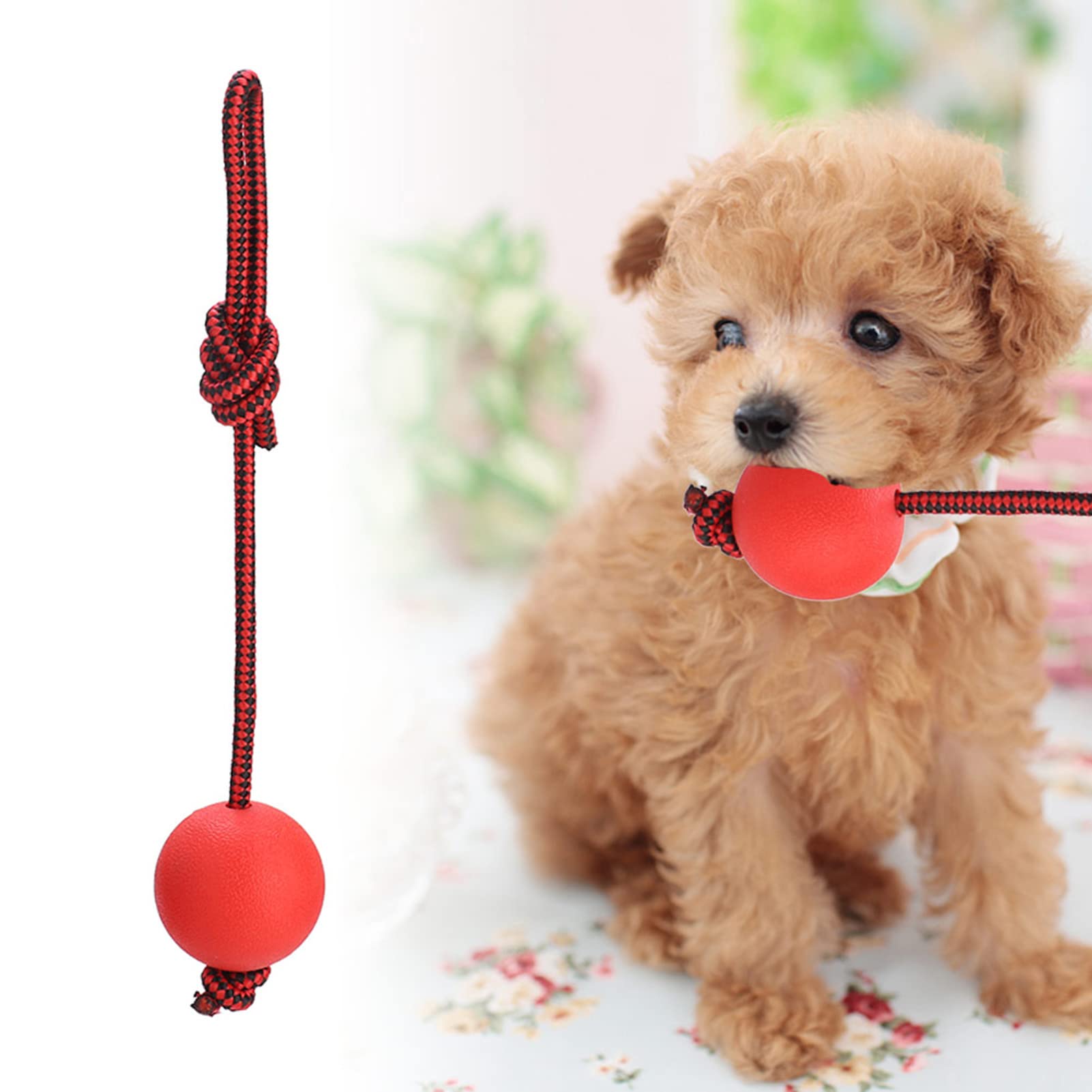 Qyebavge Dog Bite Training Ball with Rope – Durable Rubber Chew Toy for Dental Health, Interactive Play Pet Accessory