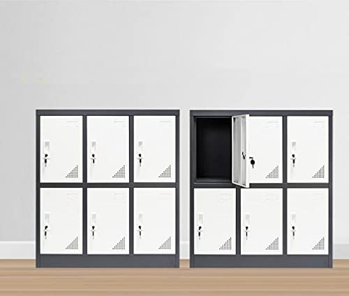MAYROY Metal Locker Office Storage Locker Home Steel Locker School Storage Organizer, Storage Cabinet for Kids Students Employee (Gray, W6D)