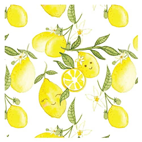 BapronBaby Fresh Lemon Bapron - Soft Waterproof Stain Resistant Bib - Machine Washable - 6m - 5yr - (Sz Baby/Toddler 6m-3T)