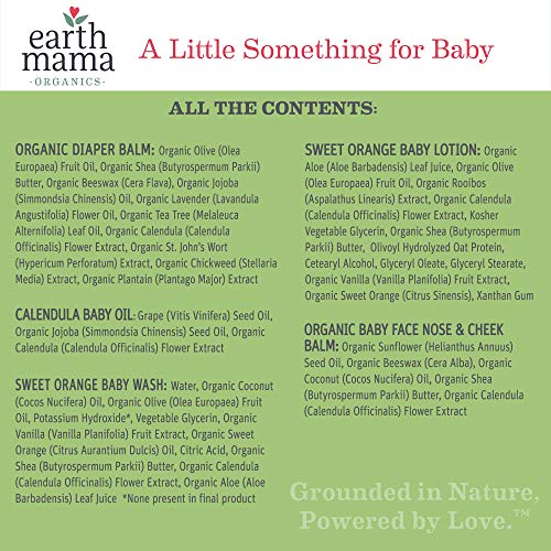 Earth Mama A Little Something for Baby Gift Set Safe Skin Care Essentials for Newborn Baby Shower, 5-Piece Set (Packaging May Vary)