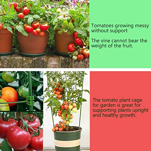 Adjustable Tomato Cage,36" Plant Support Garden Plant Stakes Cucumber Trellis with 4 Adjustable Ring for Climbing Plants Vegetables,Flowers,Fruit,Rose Vine Climbing Plants(6 Pack)