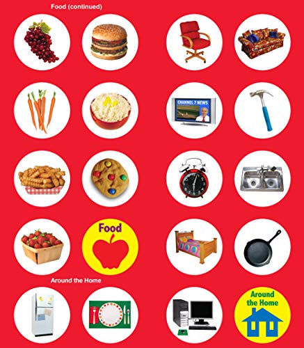 Super Duper Publications | Classifying Photo Fish- Transportation, Clothing, Animals, Food, and Around The Home Vocabulary Magnetic Game | Educational Materials for Children