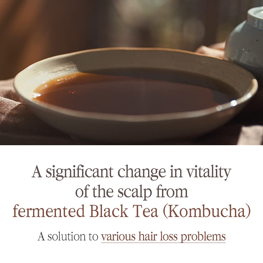 PYUNKANG YUL Herbal Hair Loos Control Shampoo - Fermented Black Tea containing rich Ingredients polypheonol, catechin - Hair Loss Treatments herbal Ingredients condensed Peptide, Biotin - 16.9 Fl. Oz