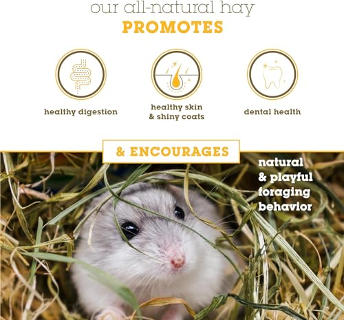 5 Lbs Fresh Alfalfa Hay by Bunny Honey - USDA Organic Natural Hay for Guinea Pigs, Rabbits, Hamsters, Hedgehogs, and More Small Select Animal Pets - 2nd Cut Fresh from Farm (5LB)