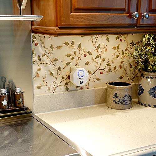 OdorStop OS300 Professional Grade Mini Ozone Generator Ionizer for Deodorizing and Purifying Small Areas Such as Bathrooms, Bedrooms, Personal Workspaces, Hotel Rooms, Offices, and RV’s (300 sq ft +)