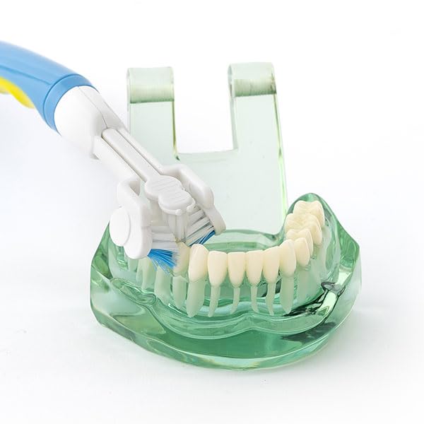 Triple Bristle Brush and Bite Handle Replacement Brush Head Combo | Special Needs & Autism Mouth Prop Toothbrush | Ergonomic Handle w/Bite Block | Patented 3 Head Design | Kids & Adults