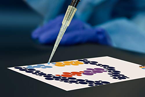 Edvotek S-45 Pipetting by Numbers: STEAM Pipetting Practice, for 10 Lab Groups