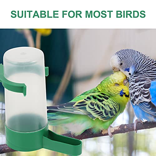 Bird Feeder, Bird Water Dispenser for Cage, 10PCS Automatic Bird Water Feeder for Cage Pet Parrot Budgie Lovebirds Cockatiel Automatic Bird Feeder
