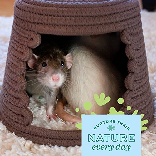 Oxbow Enriched Life Small Animal Accessories - Woven Hideout for Rabbits, Guinea Pigs, Ferrets, Chinchillas, Rats, Hamsters, Gerbils & Other Small Pets (Medium)