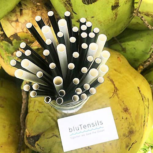 400 Pieces bluTensils Biodegradable Compostable Eco-friendly Bulk Standard Paper Straw Utensil Party Holiday Events Supplies Juice Tea Bar (Black, Standard)