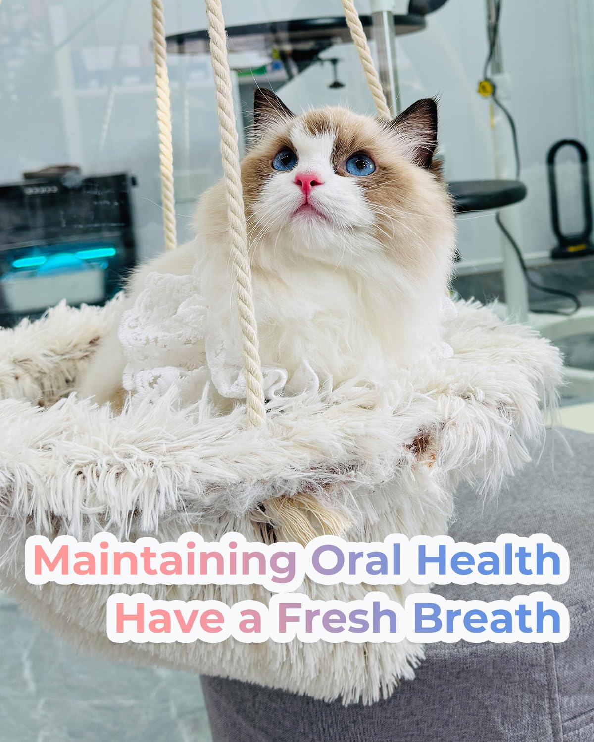 XUEPETT 2 Pcs Dual Sided Cat Toothbrush with Micro Brush Head, Anti-Slip Curved Handle, Cat Dental Care Supplies Eliminates Bad Breath and Reduces Plaque Tartar Formation
