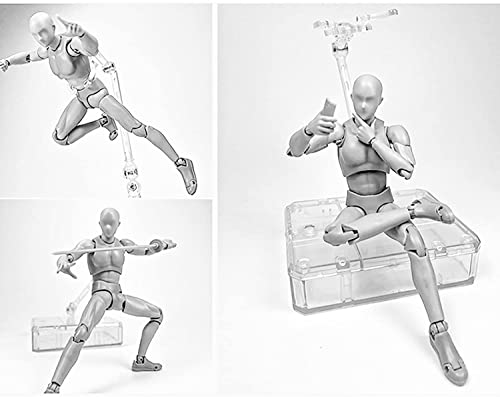 CUYUFIA Action Figures Body-Kun DX & Body-Chan DX PVC Model SHF(Grey Color) with Box Drawing Figure Models for Artists (Male+Female)
