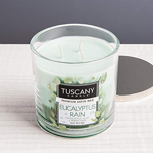 Tuscany Eucalyptus Rain 3-Wick Glass Jar Candle, 14 Ounce