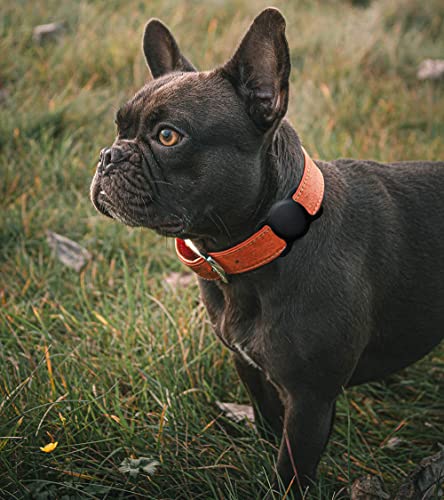 Airtag Dog Collar Holder(2 Pack) for Apple Airtag Dog Tracker Holder Anti-Lost Silicone Air Tag Holder Case Compatible with Cat Dog Collars (2xBlack)