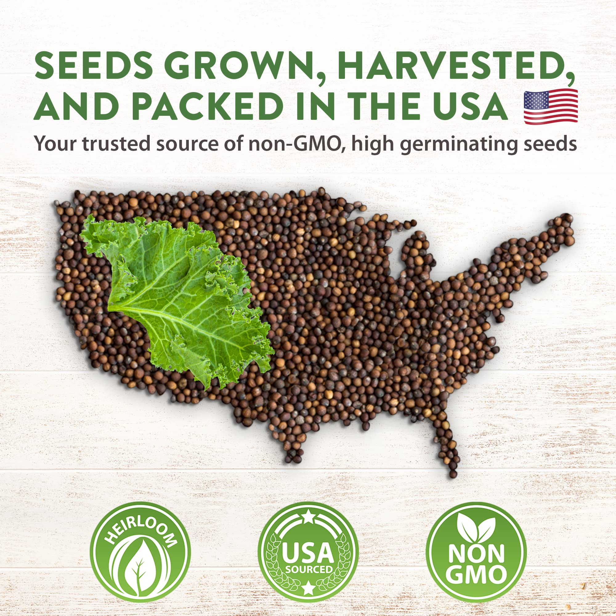5,000+ Heirloom Lettuce Seeds for Planting Indoors - 95% Germination, Non-GMO Greens Seeds, (10 Varieties): Kale, Spinach, Butter, Romaine, Arugula & More - Lettuce Seeds for Hydroponic Home Garden