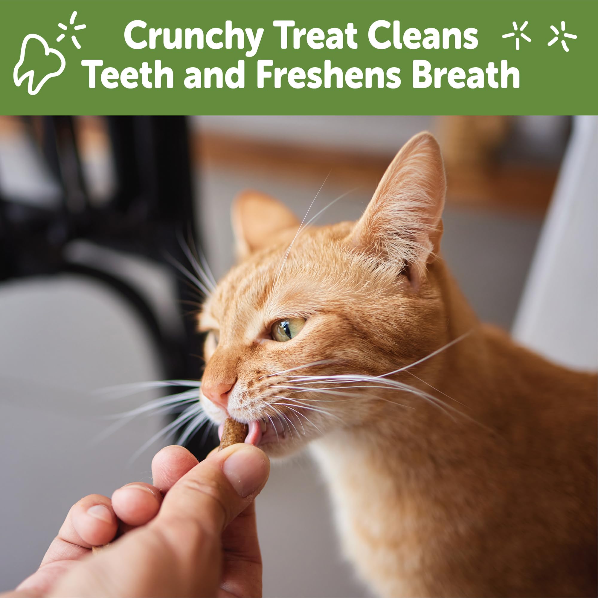 Whimzees Wellness Natural Cat Dental Treats, Chicken & Tuna Flavor, 4.5 Ounce
