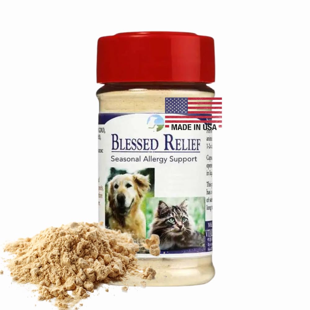 Vitality Science Blessed Relief for Cats | Seasonal Allergy Support | Improves Respiratory Function and Breathing | Heals Skin Helps Irritation (20g)