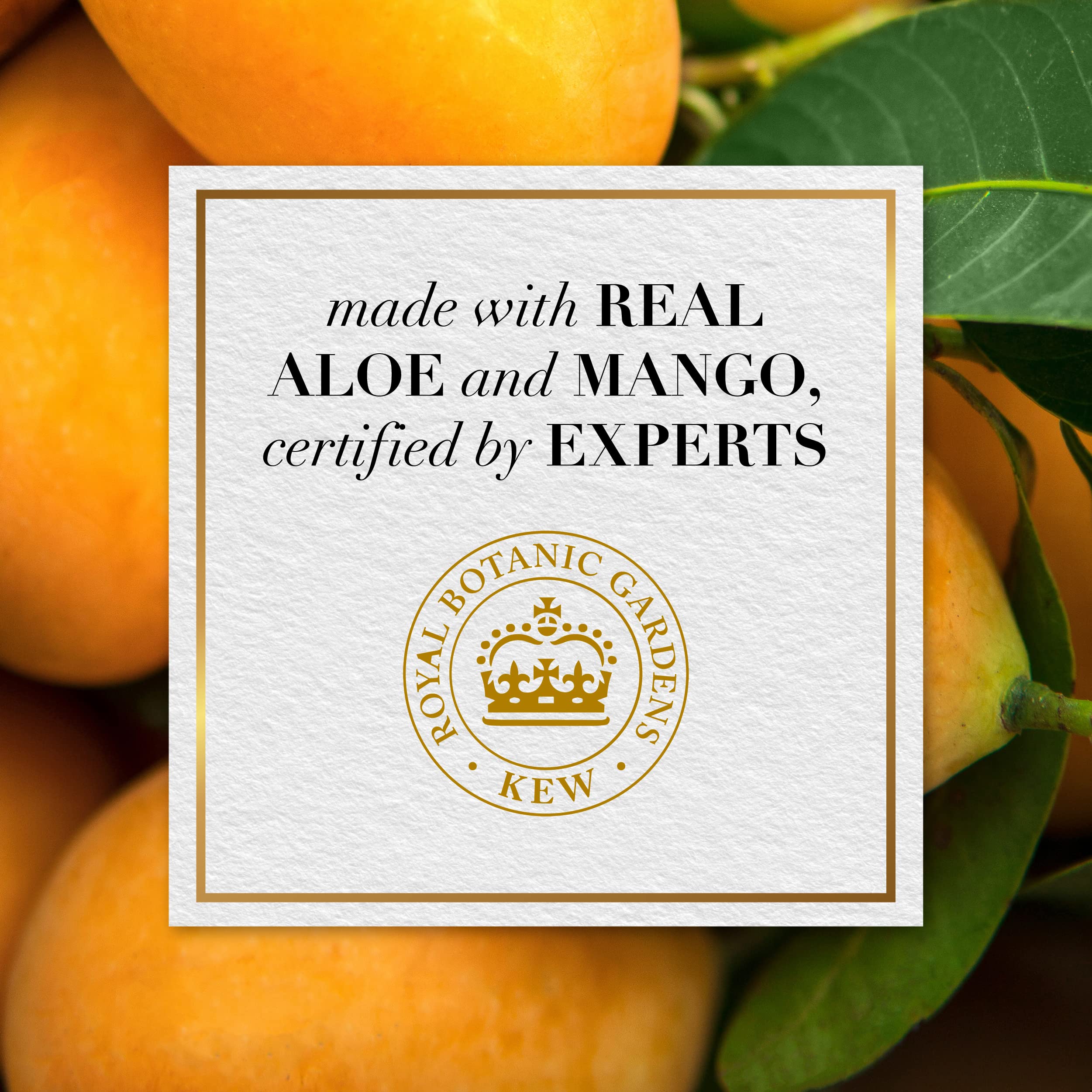 Herbal Essences bio:renew Sulfate Free Shampoo & Conditioner 13.5 Fl Oz each, and Curl Cream 6.8 Fl Oz Set – With Mango + Potent Aloe, Complete Curly Hair Care for Defined Curls