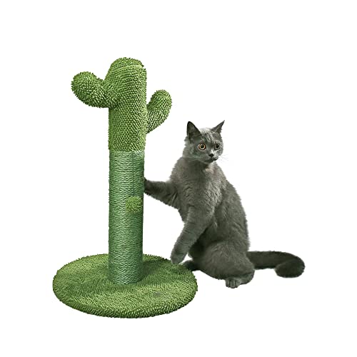 PetnPurr Cactus Cat Scratcher β Protect Your Furniture with Our Natural Sisal Cat Scratching Post with Teaser Ball Cat Toy